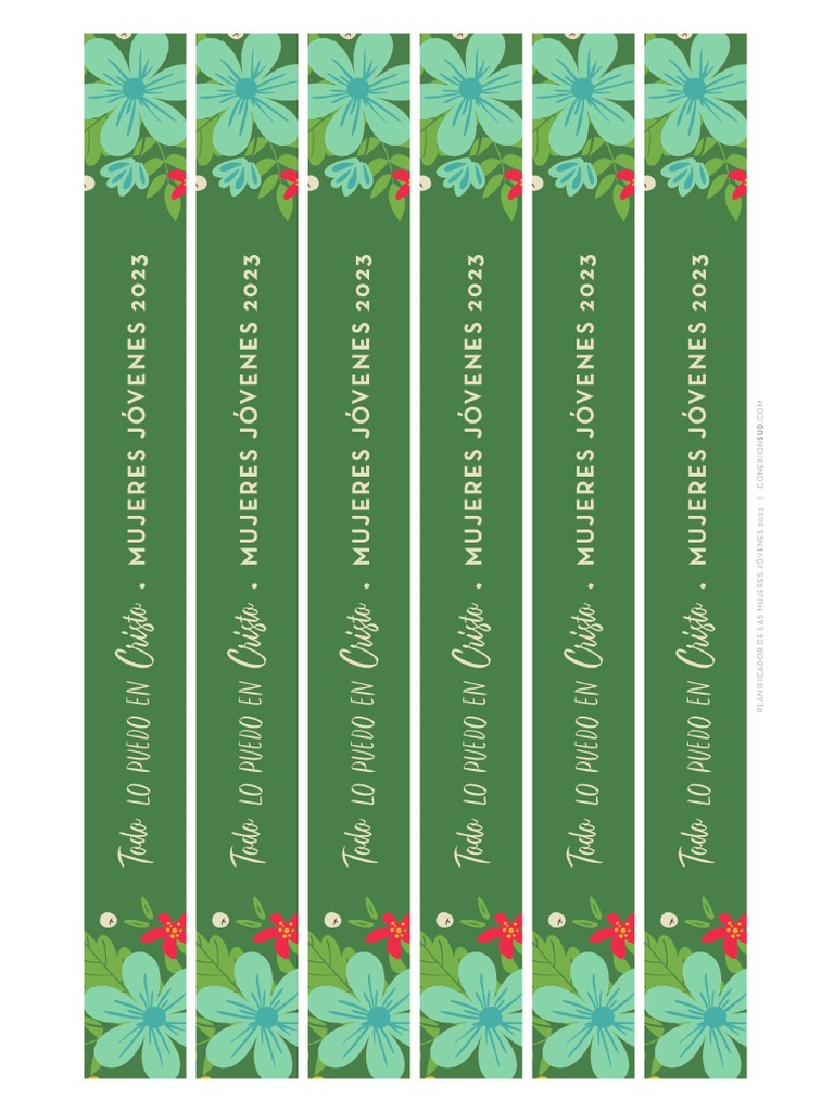 01.1 Lomo de Carpeta y Senaladores MMJJ 2023 ConexionSUD Svuyoh | PDF