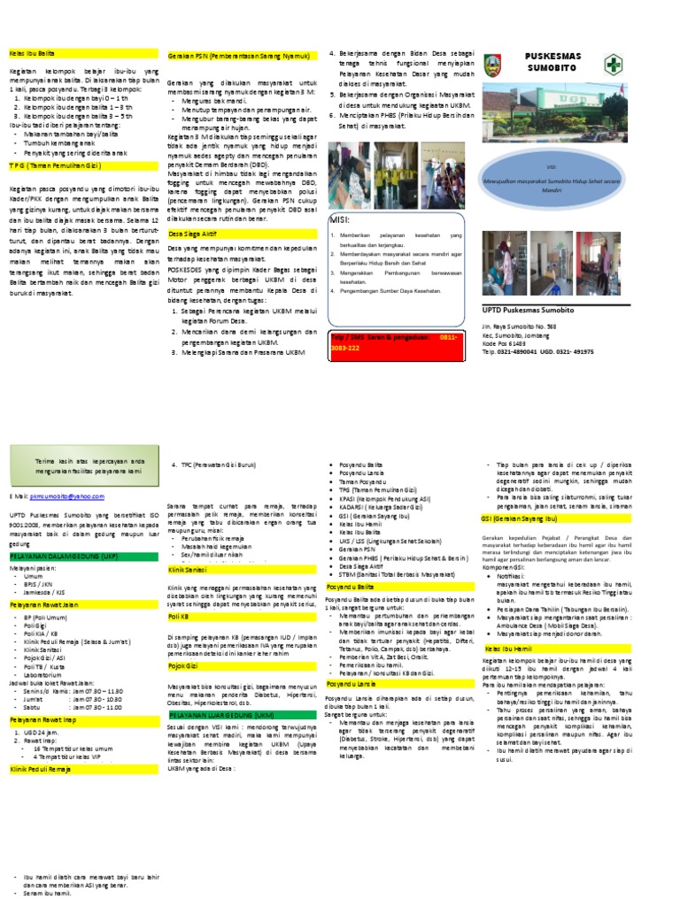 Leaflet PKM | PDF | Kesehatan Holistik