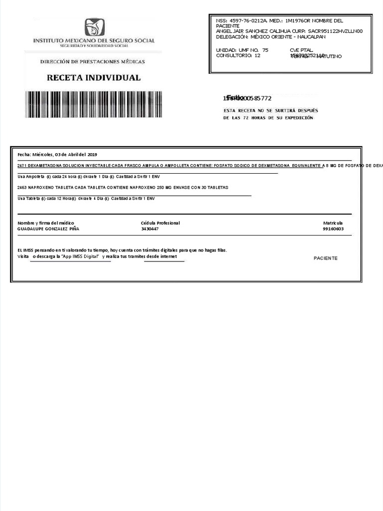 PDF Receta Imss Editable | PDF