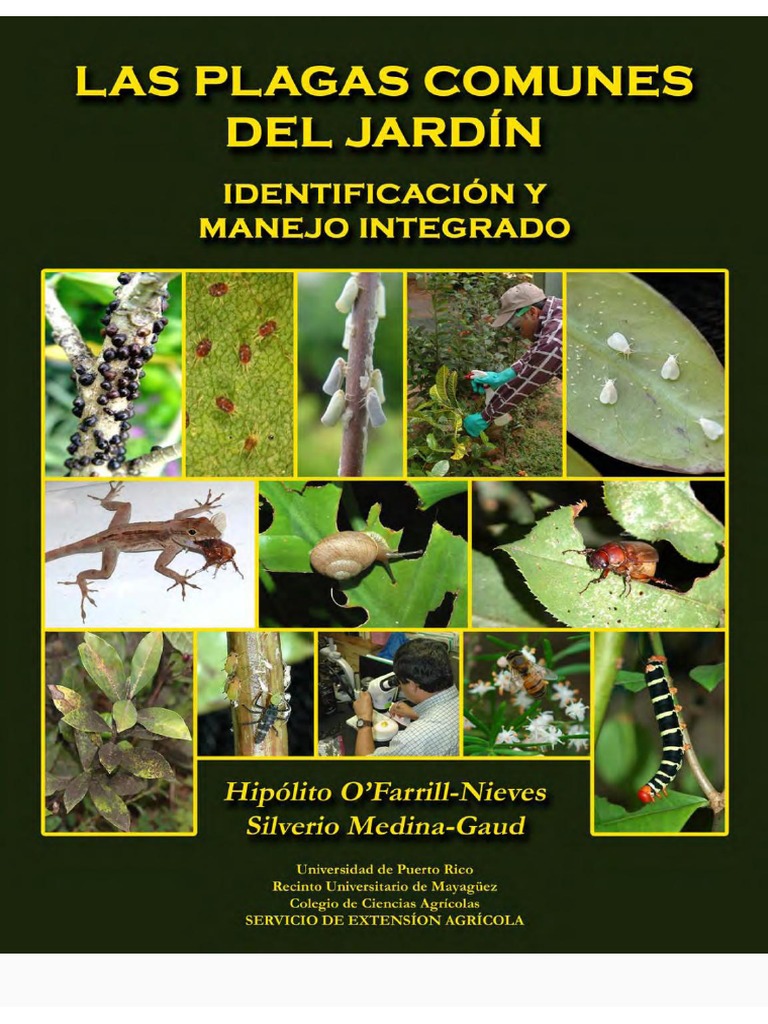Las Plagas Comunes en El Jardín | PDF