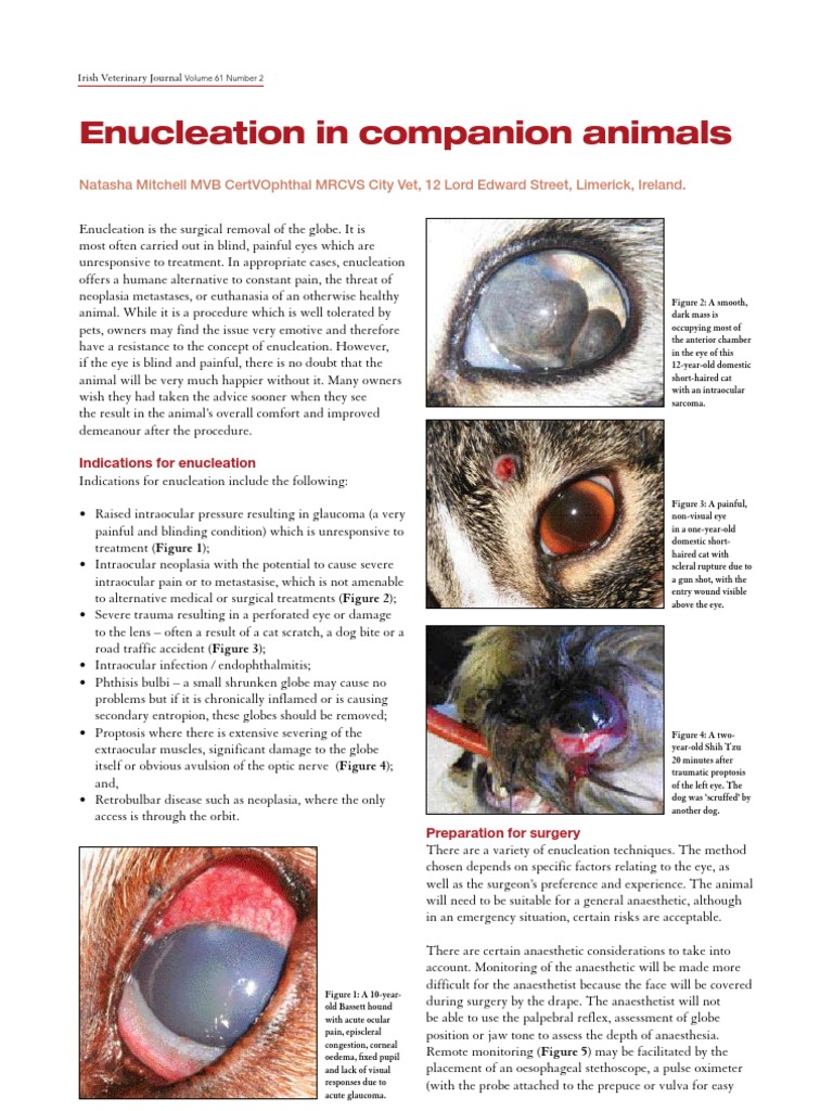 Enucleation | PDF | Surgical Suture | Surgery