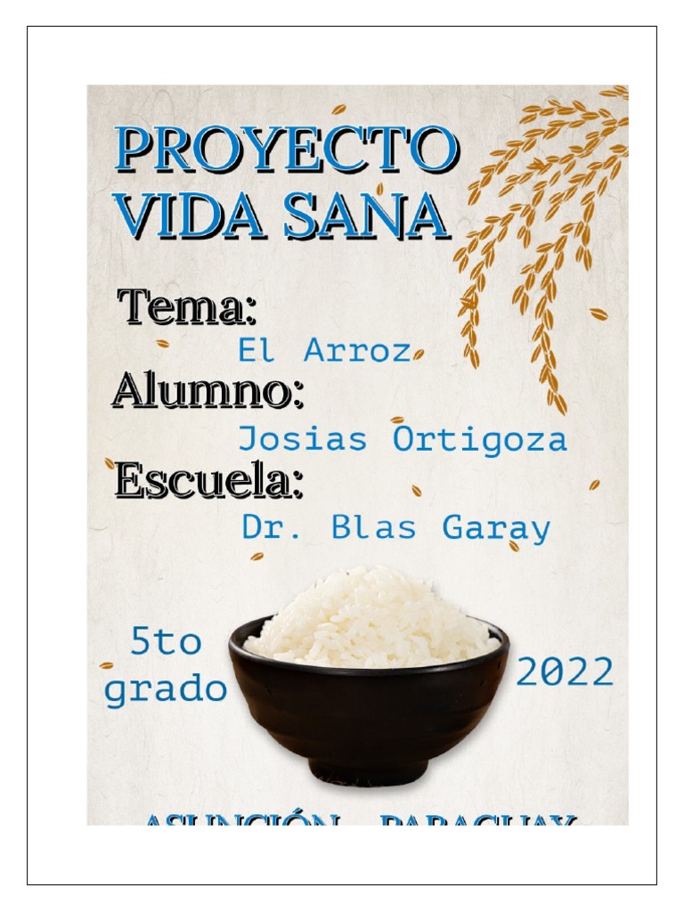 Proyecto El Arroz | PDF | Arroz | Vitamina