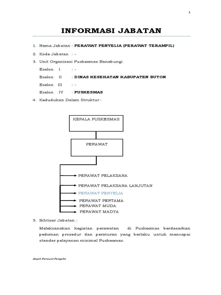 Anjab Perawat Penyelia | PDF