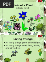 Parts of A Plant - PowerPoint | PDF | Seed | Plants