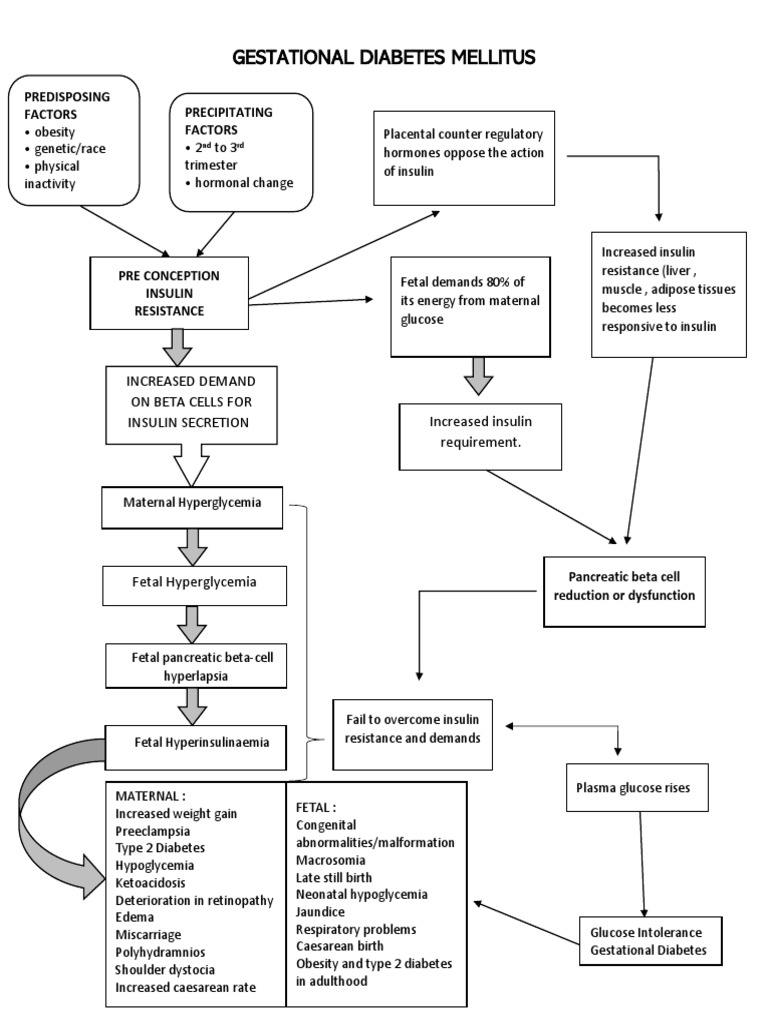 Gestational Diabetes Mellitus Pathophysiology | PDF | Gestational ...