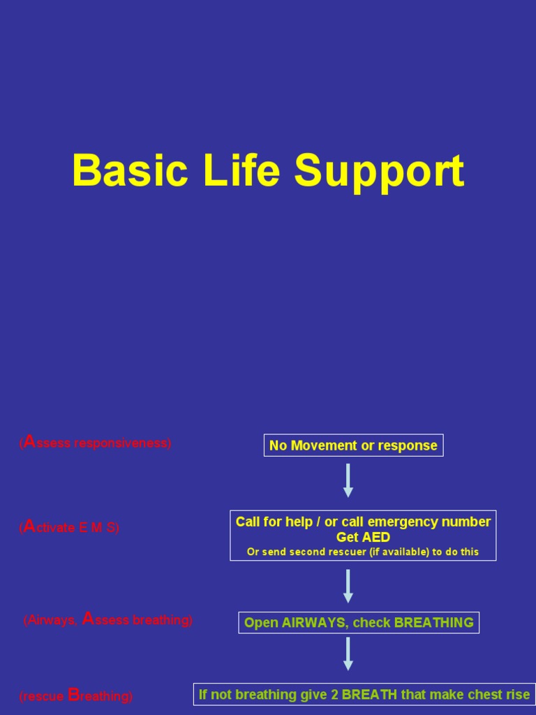 The Steps of Basic Life Support: A Guide to Providing Emergency Care ...