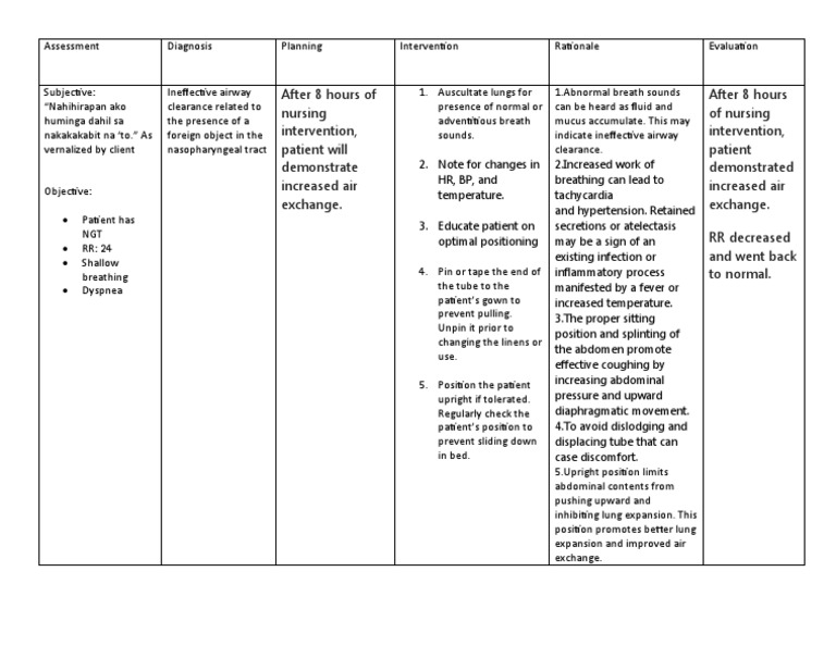 Garcia NGT NCP | PDF | Breathing | Lung