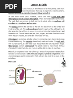 Year 7 Plant Cell Worksheet | PDF