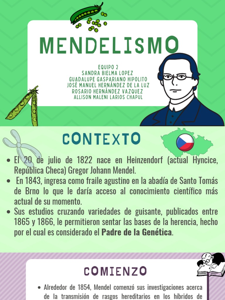 Mendelism o | PDF | Dominancia (Genética) | Evolución biológica