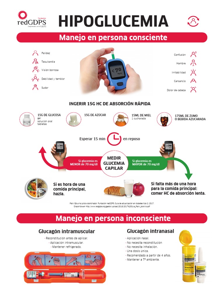 01 Infografia Hipoglucemia Pdf Sistema Endocrino Medicina
