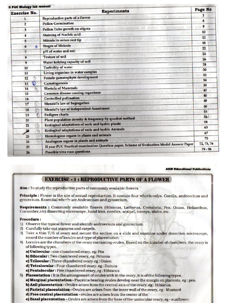 Puc 2 Board Lab Mannual | PDF