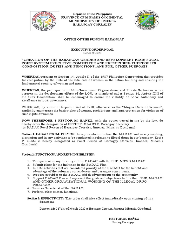 Barangay Corrales Executive Order Creates GAD Focal Point System | PDF ...