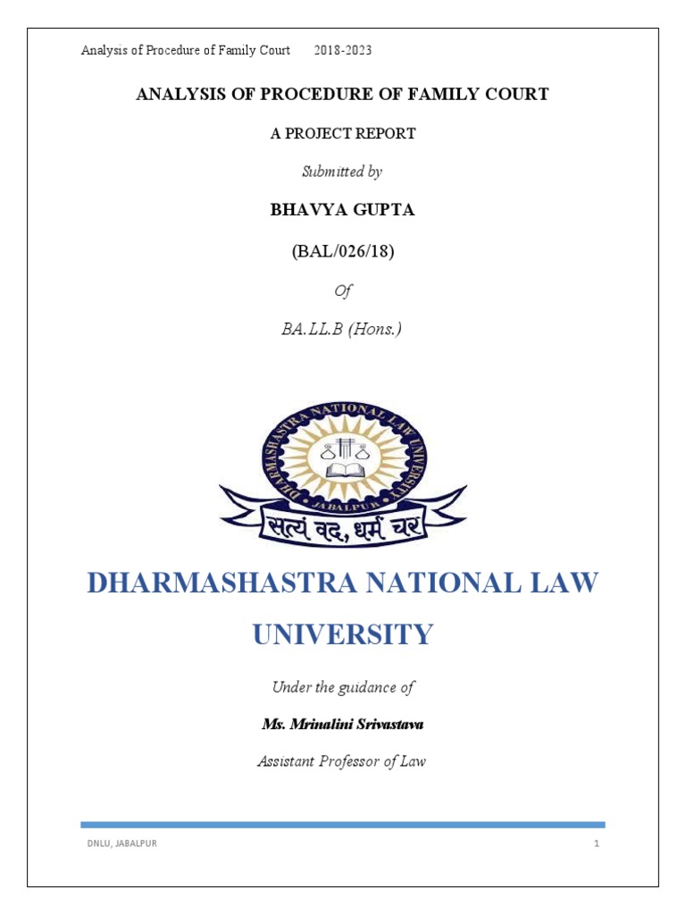 Project Family Court | PDF | Divorce | Child Custody