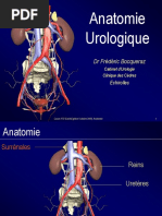 Anatomie des reins et leur vascularisation | PDF | Rein | Foie