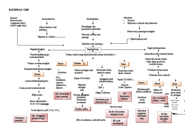 Woc CHF - Fix-1 | PDF