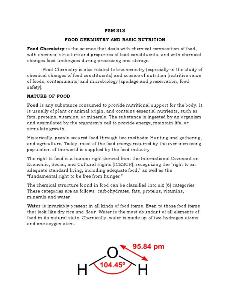 Food Chem Basics Nutrition | PDF