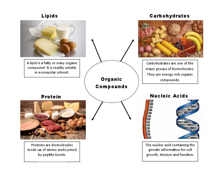 Performance Task 3 | PDF