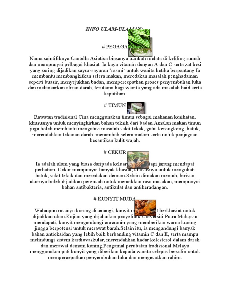 Info Ulam | PDF