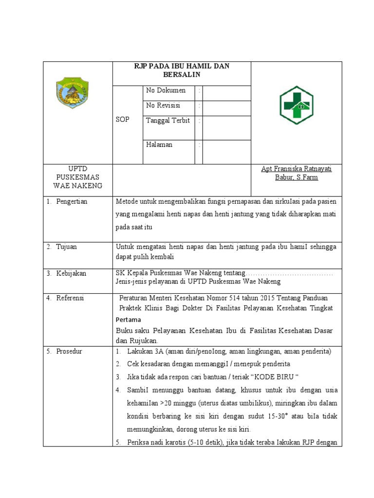 RJP Pada Ibu Hamil | PDF