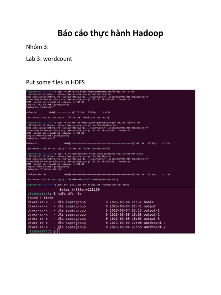 Báo Cáo TH C Hành Hadoop Lab3 | PDF