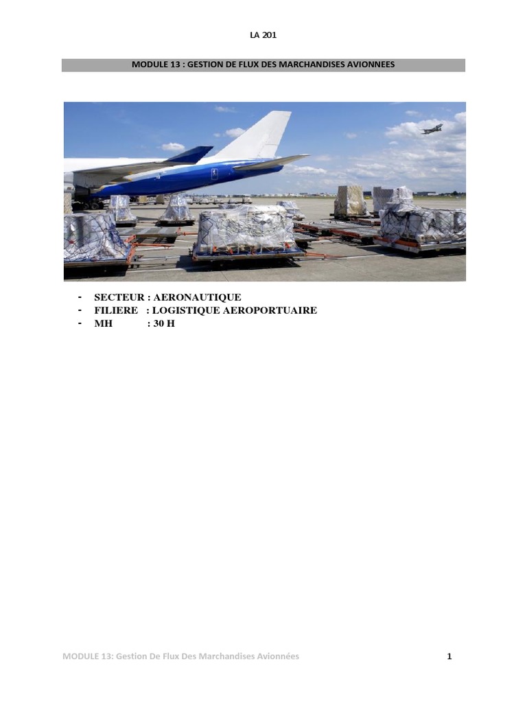 Gestion des Flux de Fret Aérien | PDF | Transport | Aviation