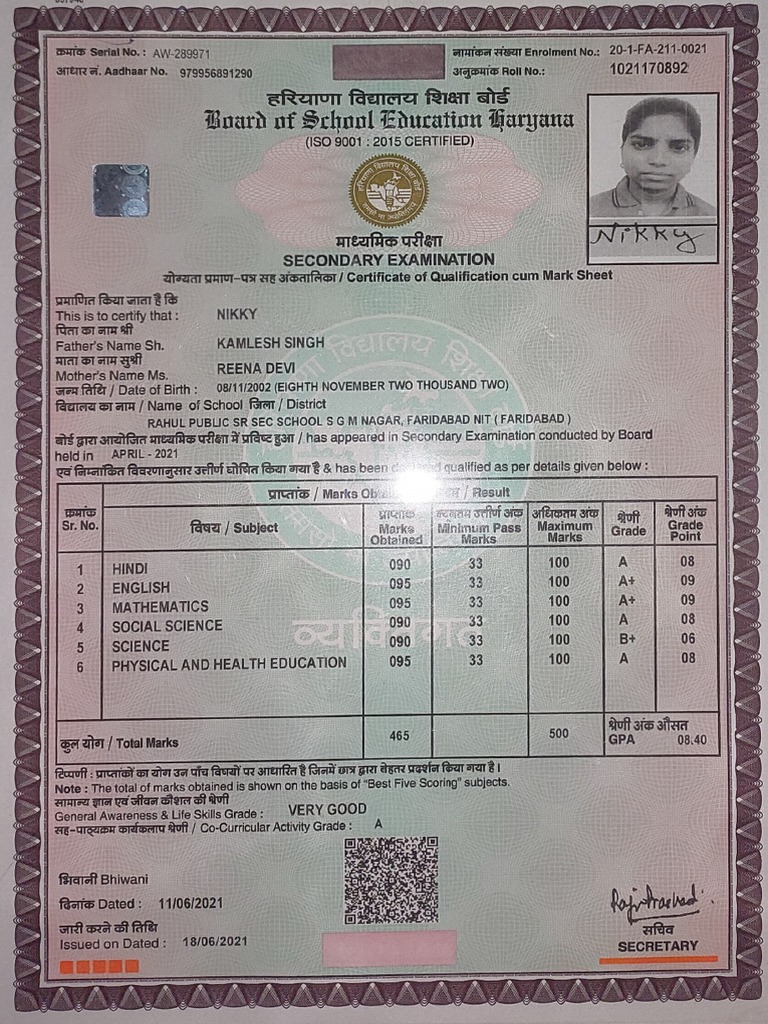 10th Marksheet, 93 Percentage | PDF