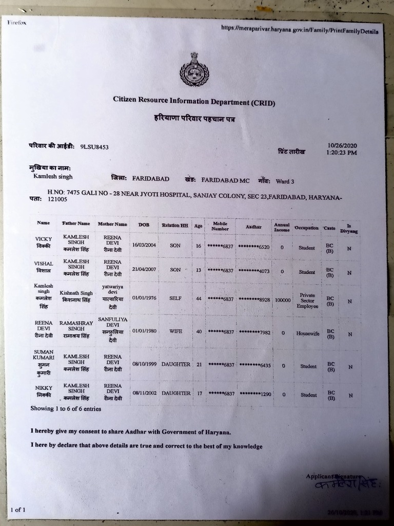 Income Certificate, Family Id and Salary Slip | PDF