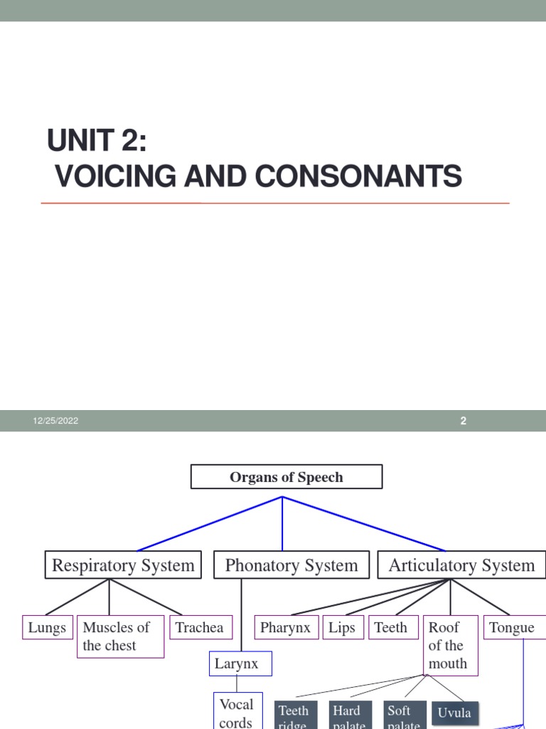 Voicing Features in Consonants | PDF | Larynx | Human Voice