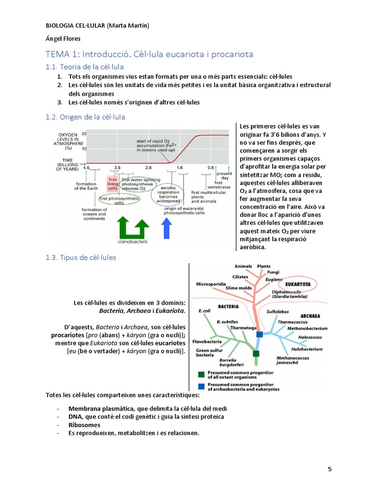 Biocel Primer Parcial | PDF