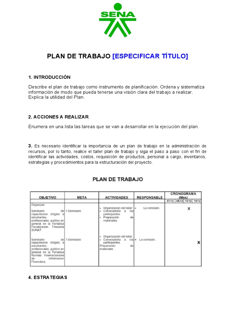 Modelo de Plan de Trabajo | PDF