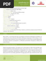 Ficha Técnica Del Pasto Marandú (Brachiaria Brizantha Cv. Marandú ...