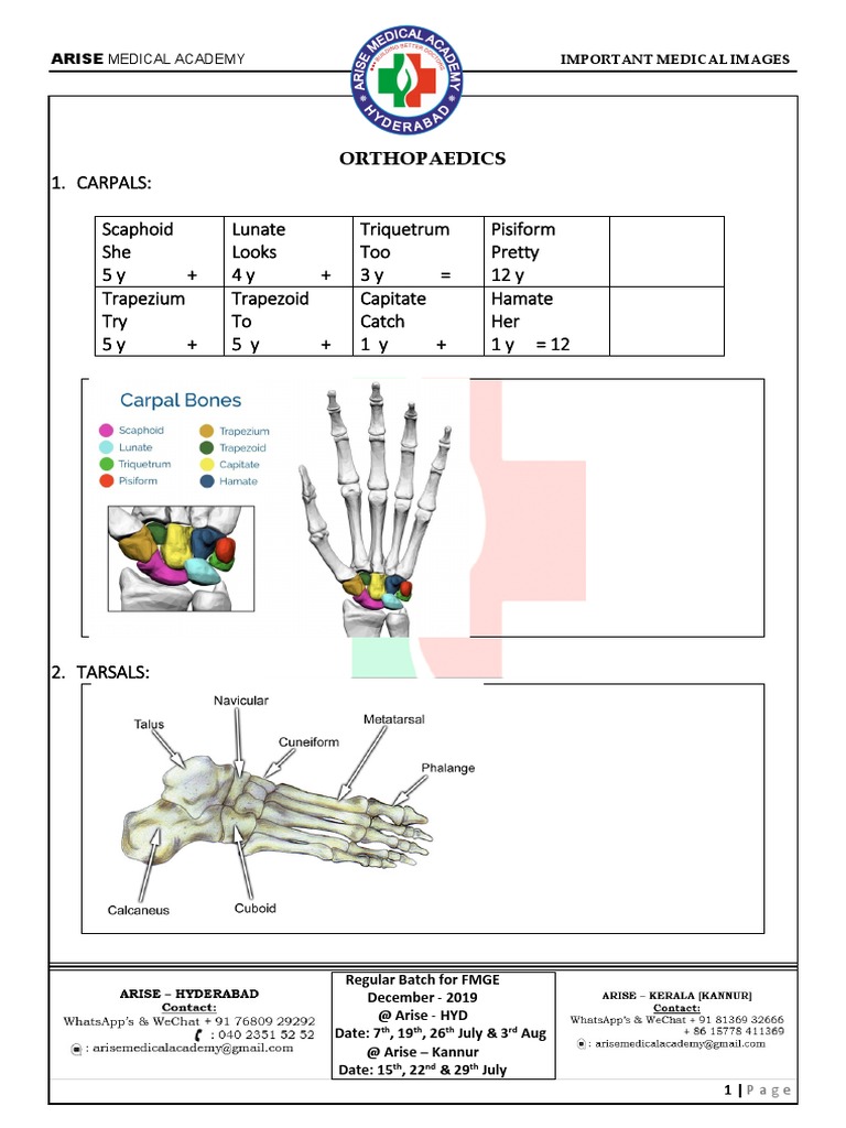 Orthopedic Terminology and Fractures Guide | PDF | Anatomical Terms Of ...