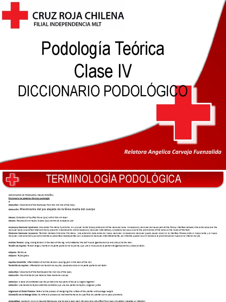 Cruz Roja Clase4 Diccionario | PDF