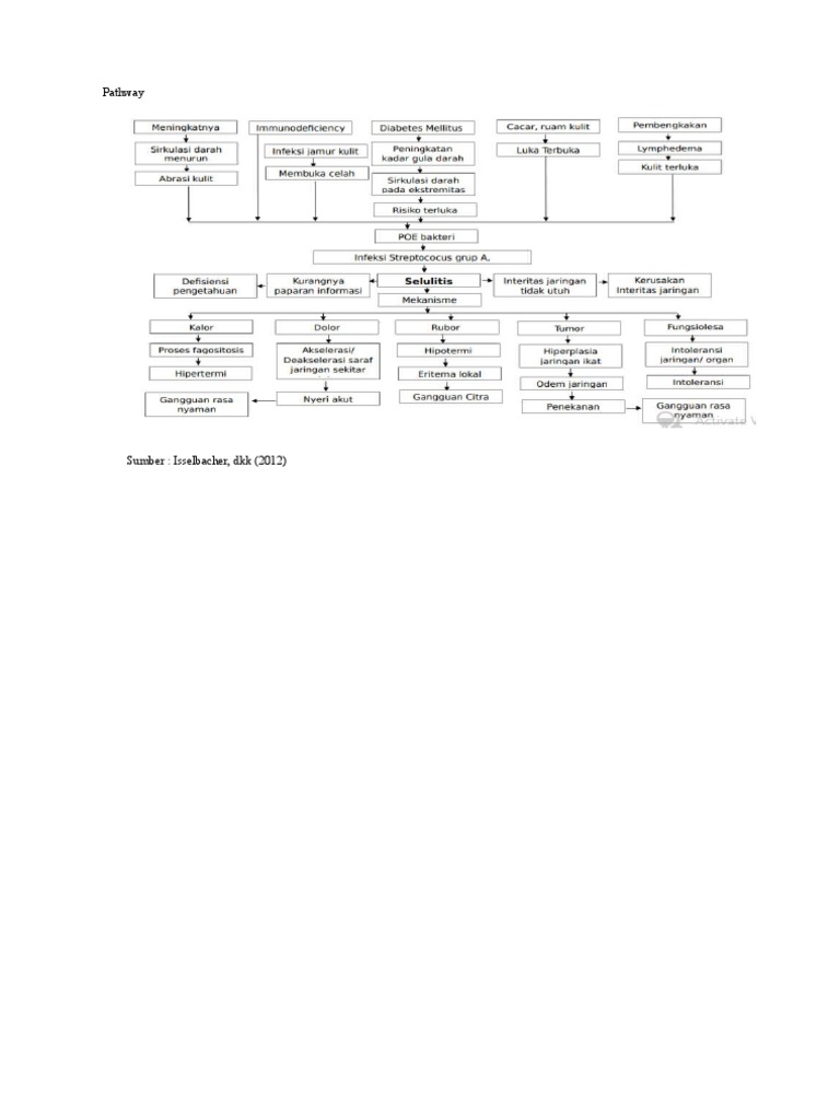 Pathway SELULITIS | PDF