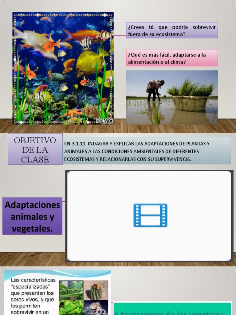 Adaptaciones de Animales y Plantas | PDF
