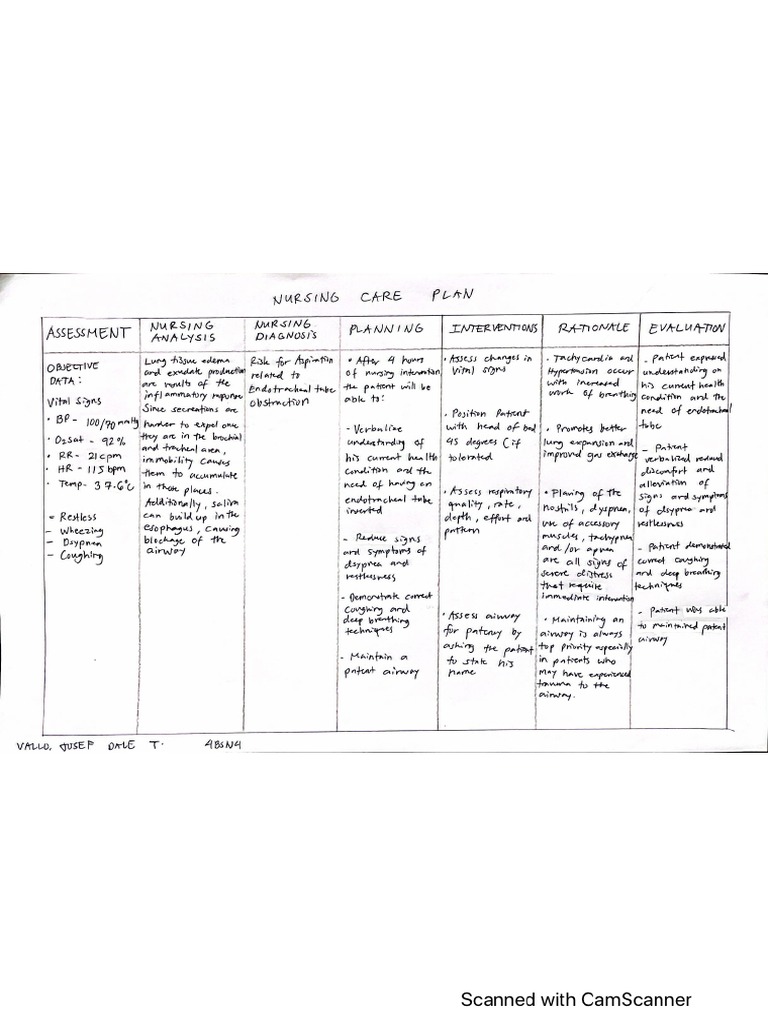 NCP Endotracheal Tube | PDF