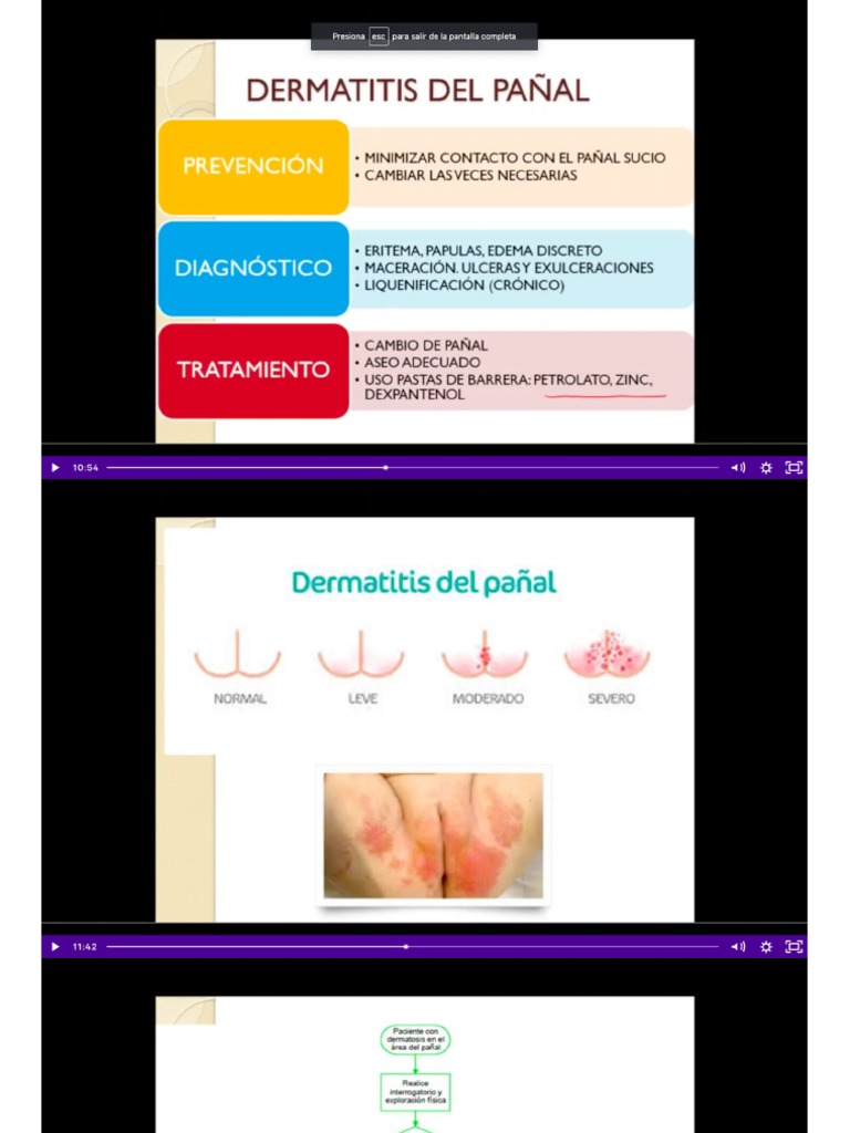 Dermatitis Del Panal | PDF