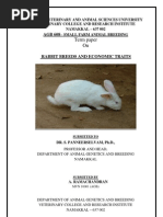 Rabbit Colour Genetic Genotype Chart: C-C - C C - C - C - CC | PDF ...
