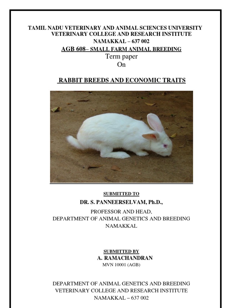 Breeds Rabbit | PDF | Inbreeding | Animals And Humans