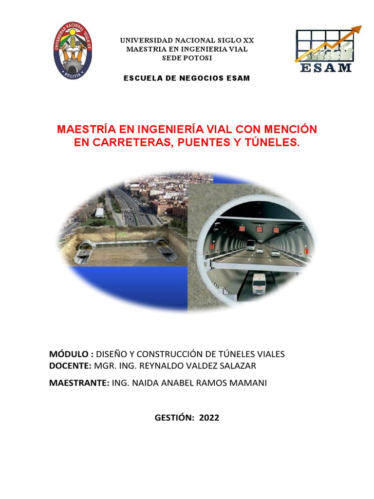 Trabajo Final - NAIDA ANABEL RAMOS MAMANI | PDF | Túnel | Estrato