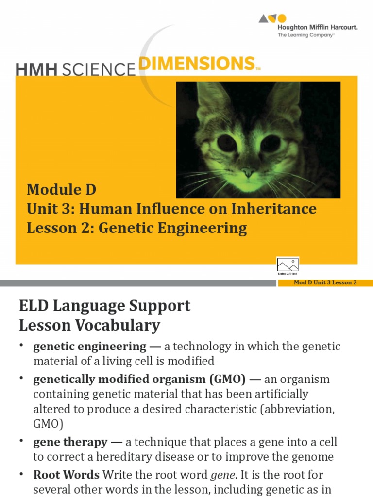 Module D Unit 3: Human Influence On Inheritance Lesson 2: Genetic ...