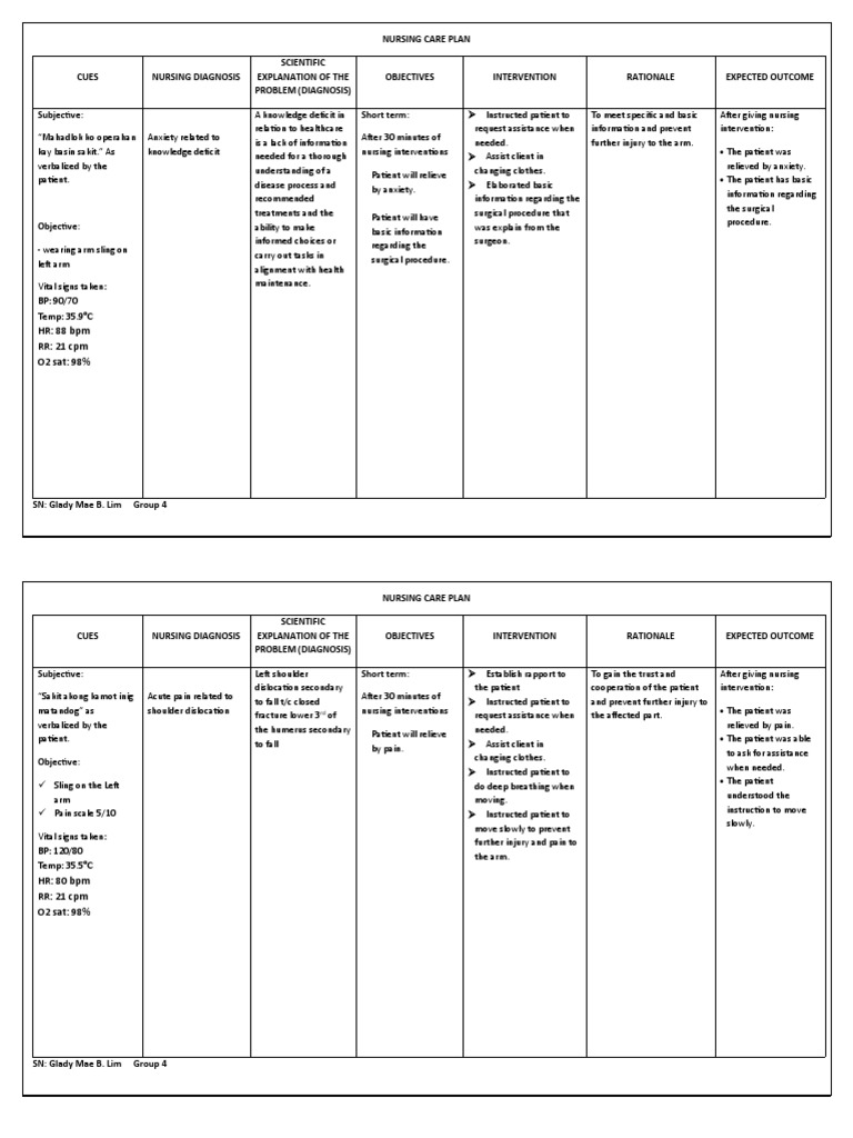 Nursing Care Plan | PDF | Nursing | Causes Of Death