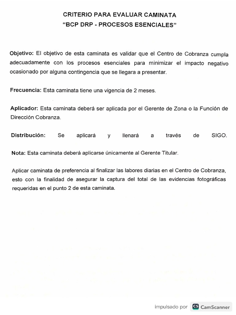 ''BCP DRP - Procesos Esenciales '' | PDF