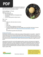 My Plant Life Cycle Booklet | PDF