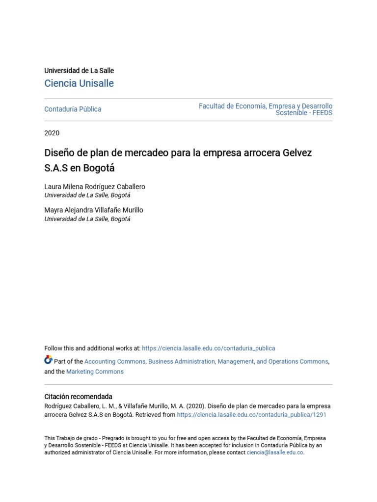 Diseño de Plan de Mercadeo para La Empresa Arrocera Gelvez S.A.S | PDF ...