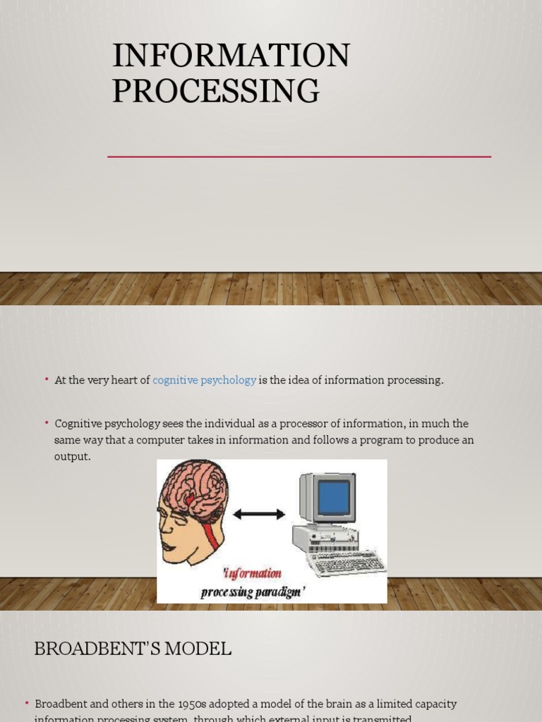 Information Processing | PDF | Memory | Working Memory