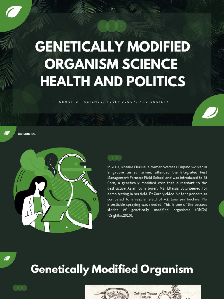Group 3 STS | PDF | Genetically Modified Organism | Genetically Modified Crops