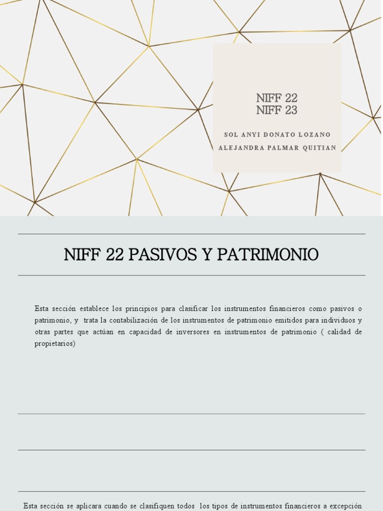 NIFF 22 y NIFF 23 | PDF | Inversiones | Bienes (Ley)