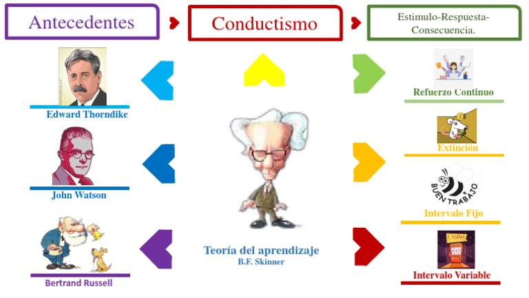 Mapa Mental - Características Principales de La Teoría de Skinner | PDF