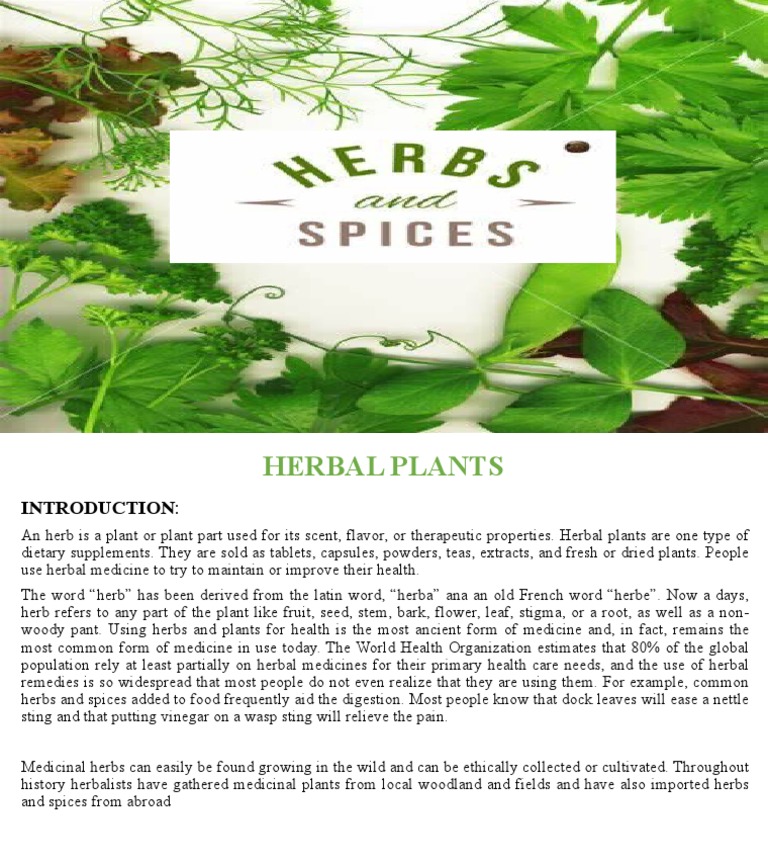 An Introduction to Common Herbal Plants: History, Uses, and Benefits of ...